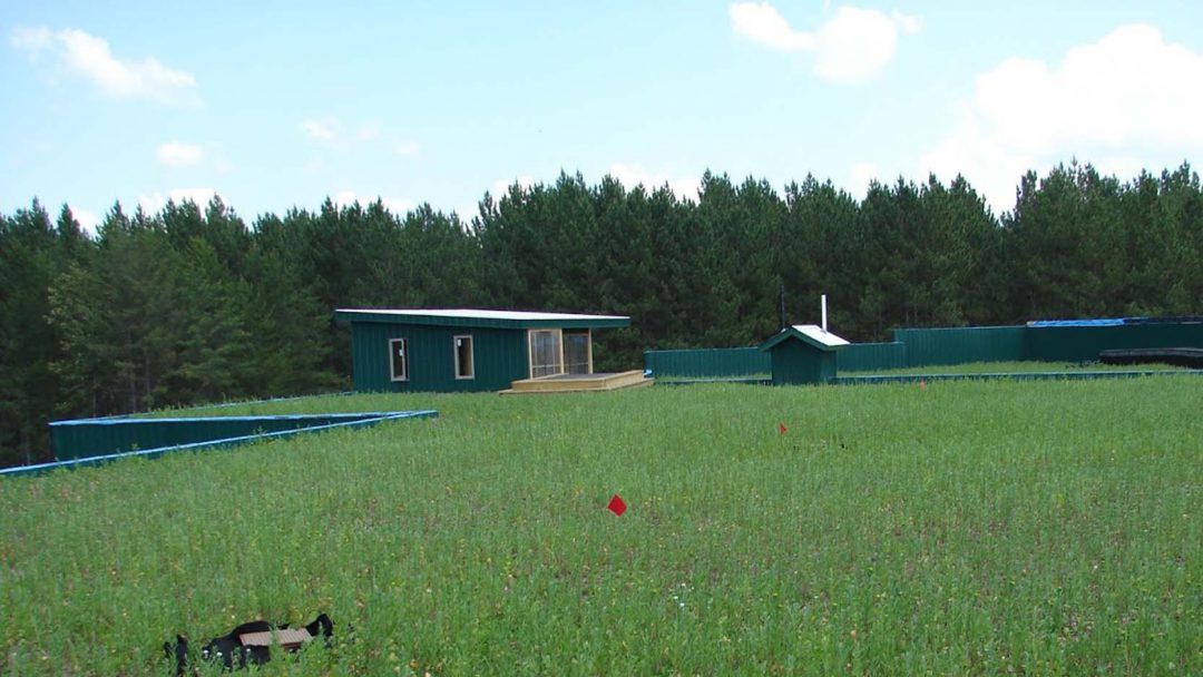 Where Are They Now? With Research Technician Danny Pavek - SciTech