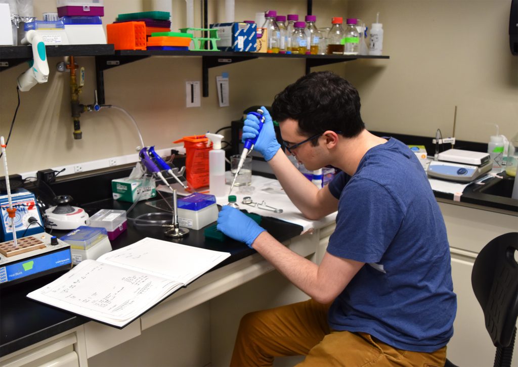 Synthesizing with Sasya: an Internship on the Molecular Level ...