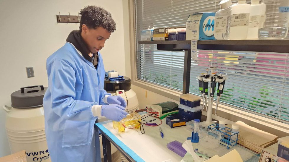 SciTech Internship Program